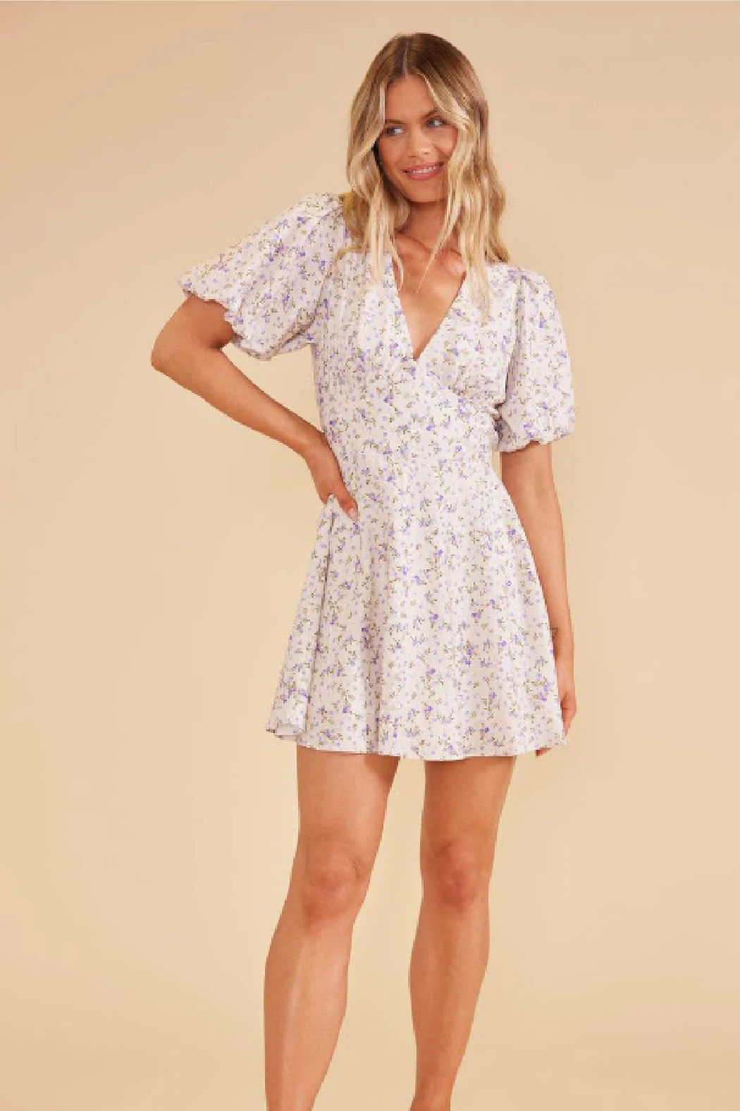 Hailey Mini Dress – The Old Mill